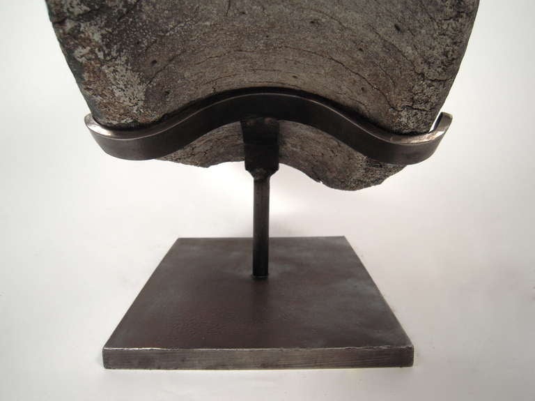 Large Old Whale Vertebra on Custom Stand at 1stDibs