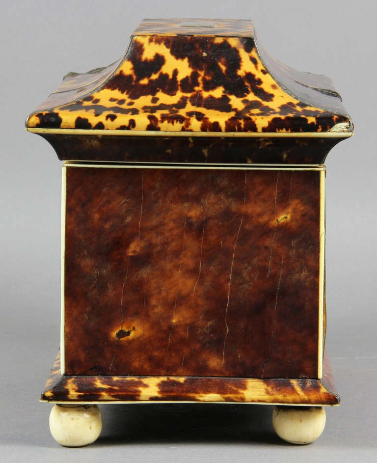 Regency Tortoise Shell Tea Caddy at 1stDibs