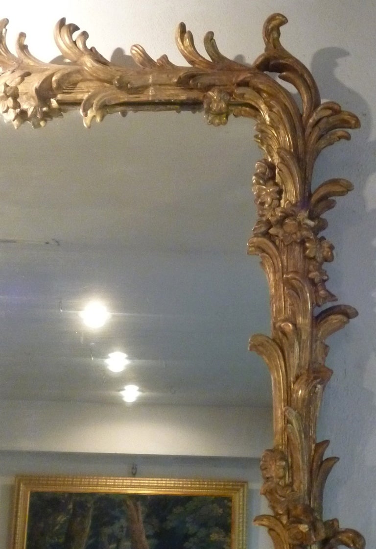Very Fine Large French Louis XV Gilt Mirror at 1stDibs