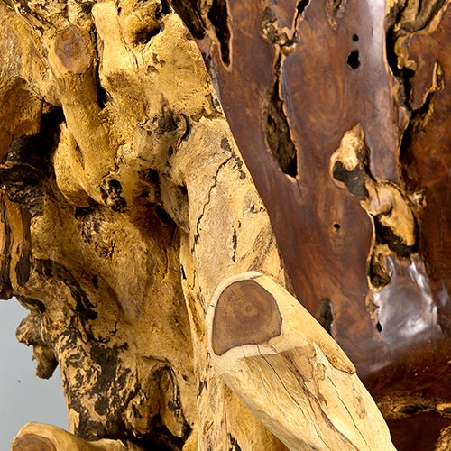 Natural "Conch" Chair in Madre Cacao Wood, France at 1stDibs