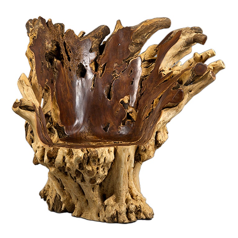 Natural "Conch" Chair in Madre Cacao Wood, France at 1stDibs