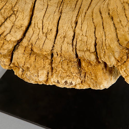 Molave Wood Sculpture of Mortar by Alex Cayet, France at 1stDibs