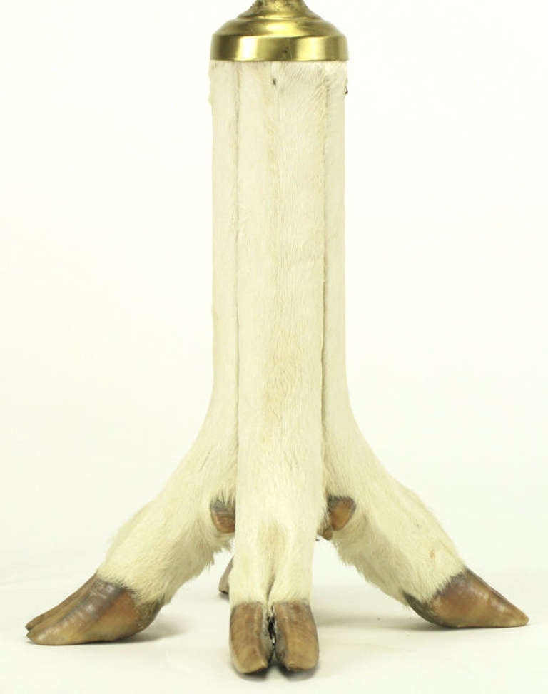Deer Hoof Taxidermy Table Lamp at 1stDibs