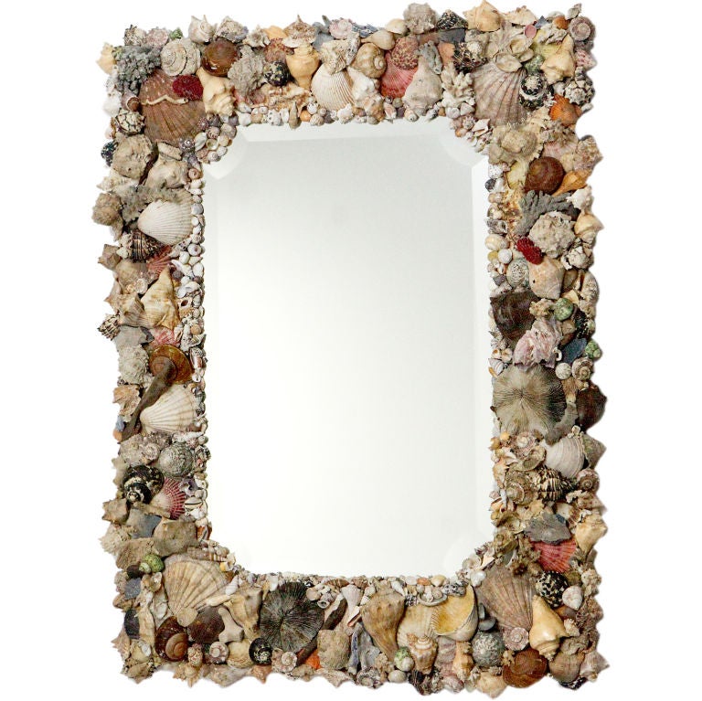 Natural Shell Mirror at 1stDibs