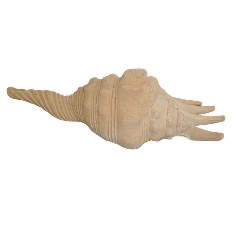 Very Large Carved Wooden Shell For Sale at 1stDibs