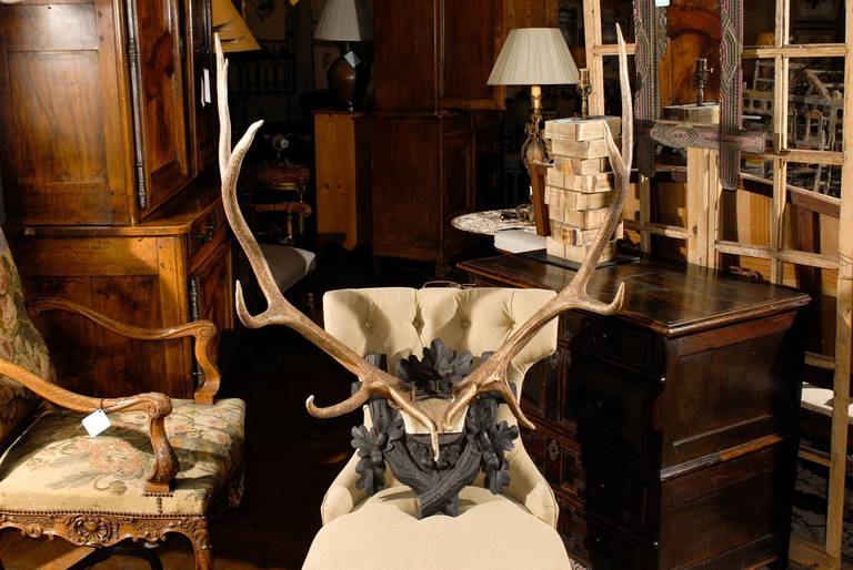 Red Deer Mount with Plaque at 1stDibs