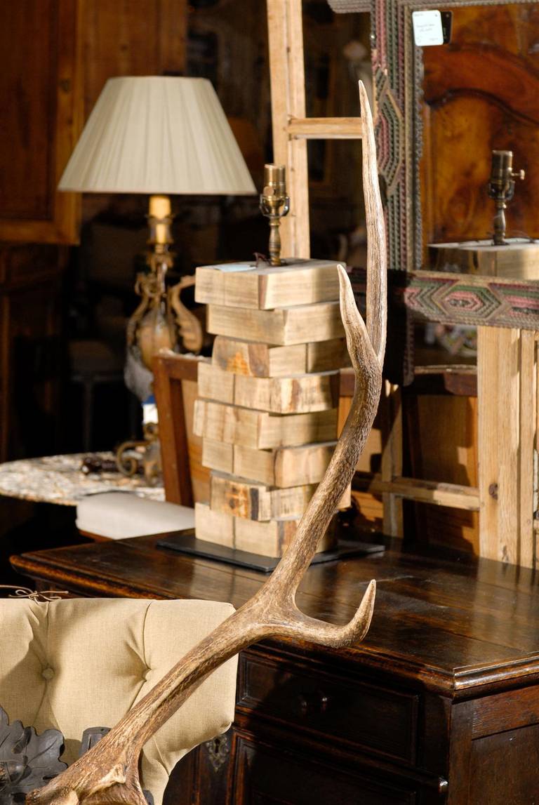 Red Deer Mount with Plaque at 1stDibs