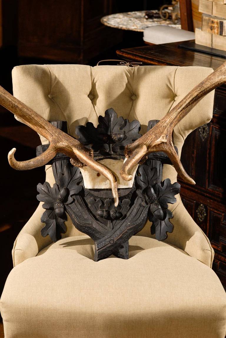 Red Deer Mount with Plaque at 1stDibs