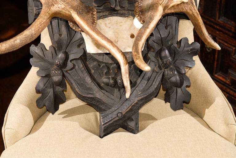 Red Deer Mount with Plaque at 1stDibs