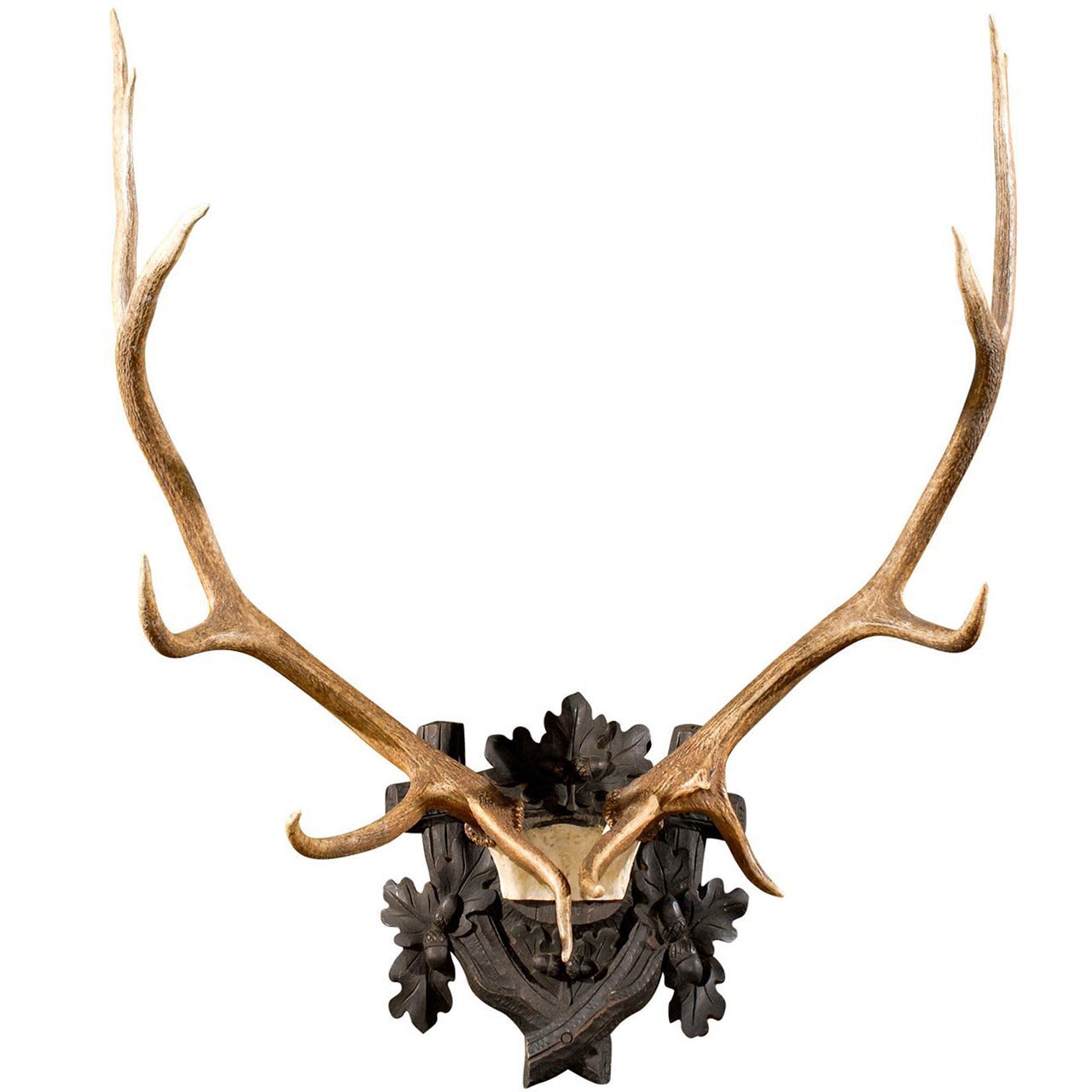 Red Deer Mount with Plaque at 1stDibs