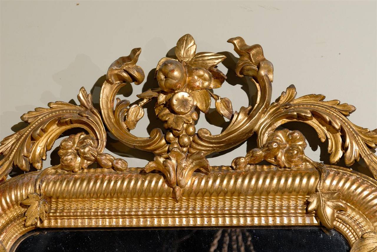 French Carved Gilt Mirror at 1stDibs