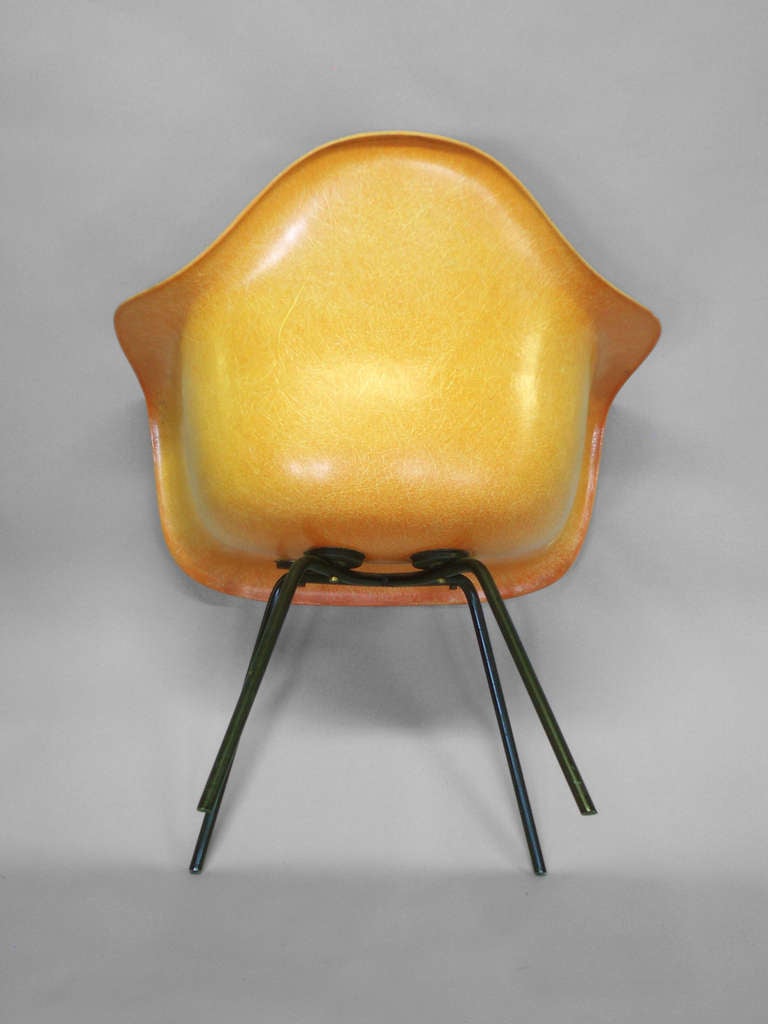 Eames Fiberglass Shell Chairs by Charles and Ray Eames at 1stDibs