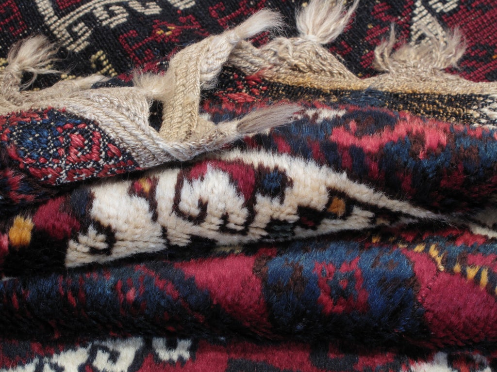 Sparkling Kurdish Rug at 1stDibs