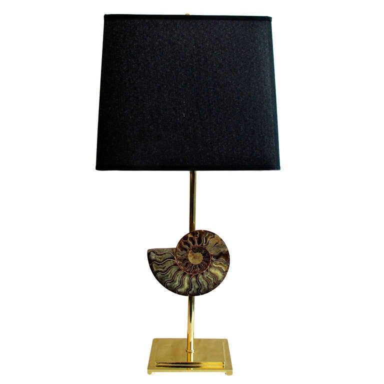 Ammonite Fossil Table Lamp by Michael Laut at 1stDibs