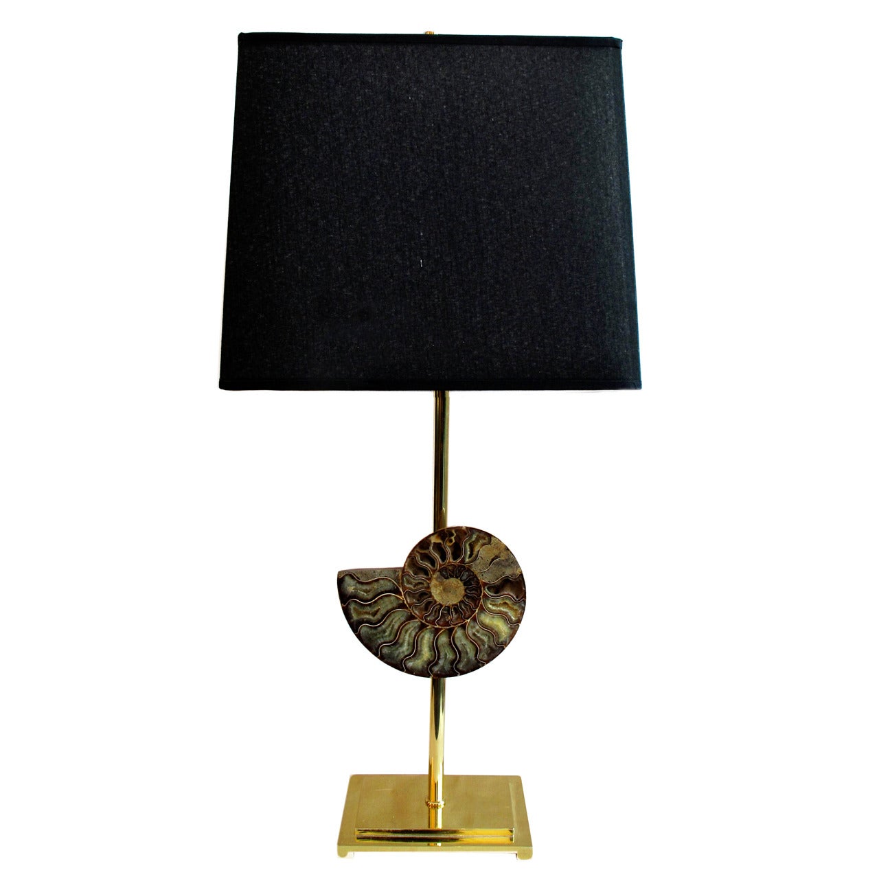 Ammonite Fossil Table Lamp by Michael Laut at 1stDibs