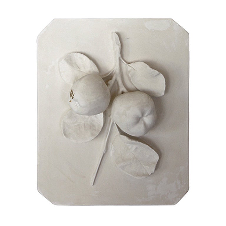 Vintage Plaster Fruit Relief at 1stDibs