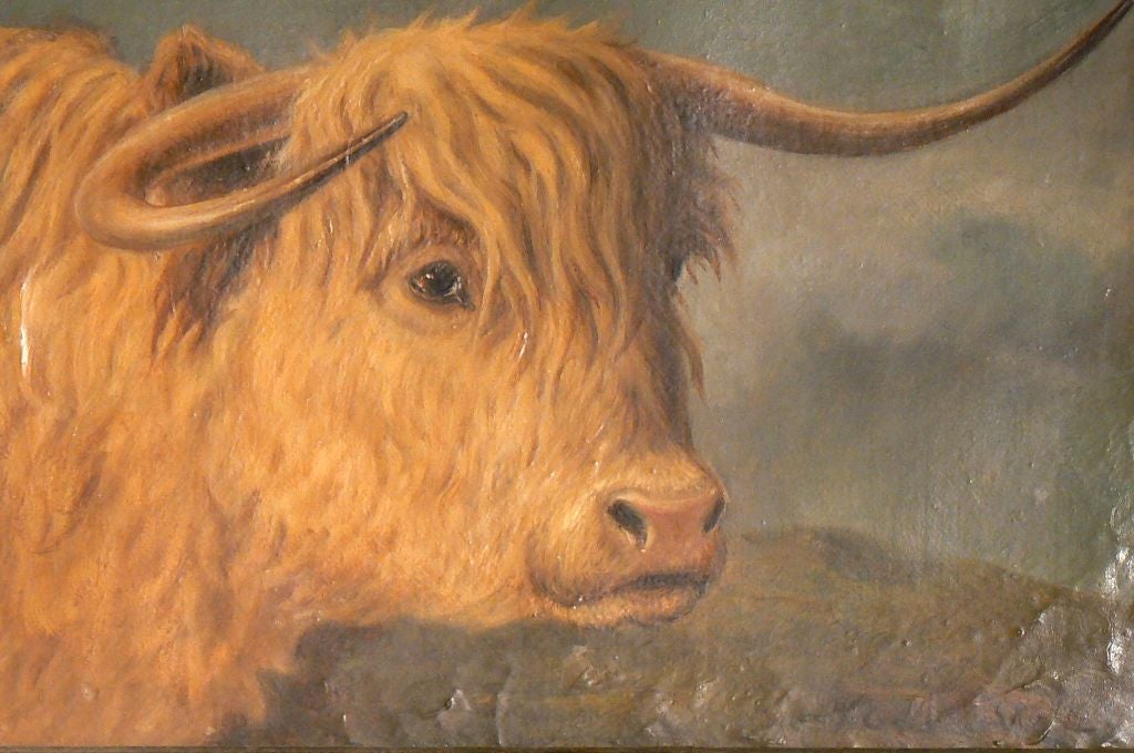 Original Oil Painting, "Bull" by M. C. Marshall For Sale at 1stDibs
