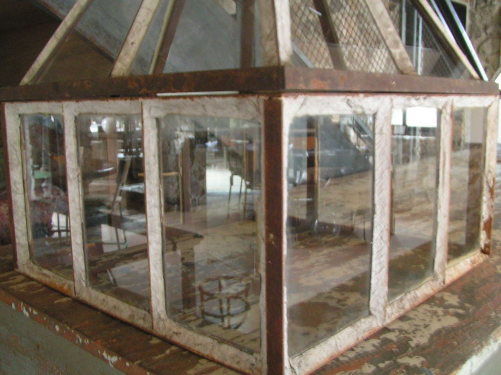 Vintage Terrariums For Sale at 1stdibs