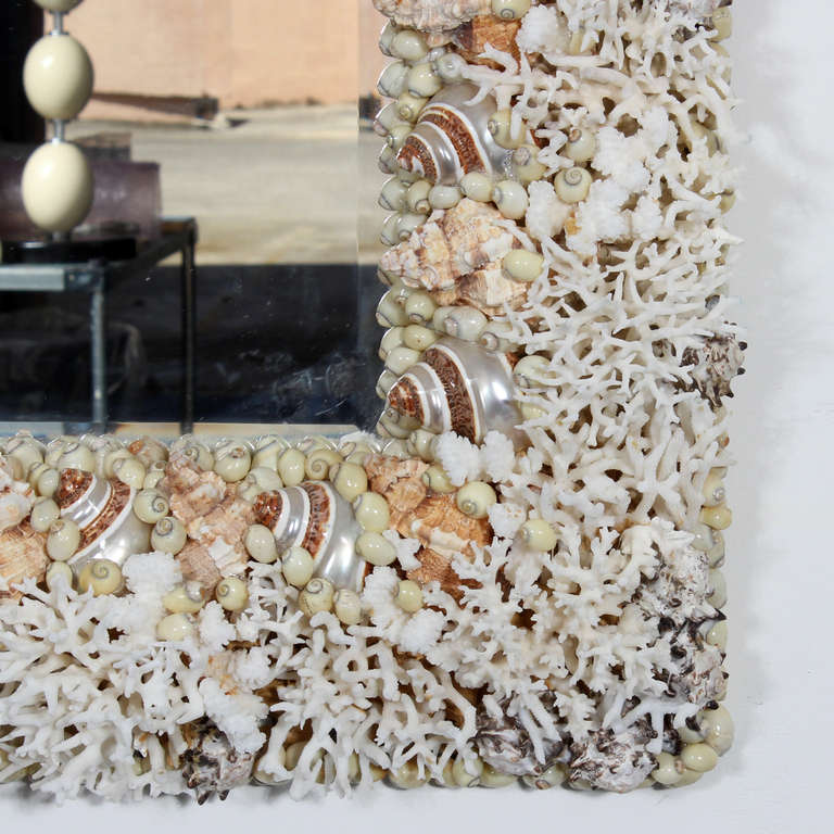 Coral and Seashell Mirror For Sale at 1stDibs