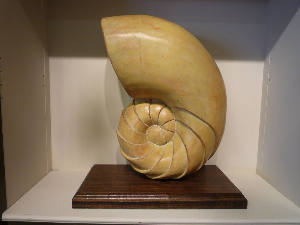 Large Carved Nautilus Shell at 1stDibs
