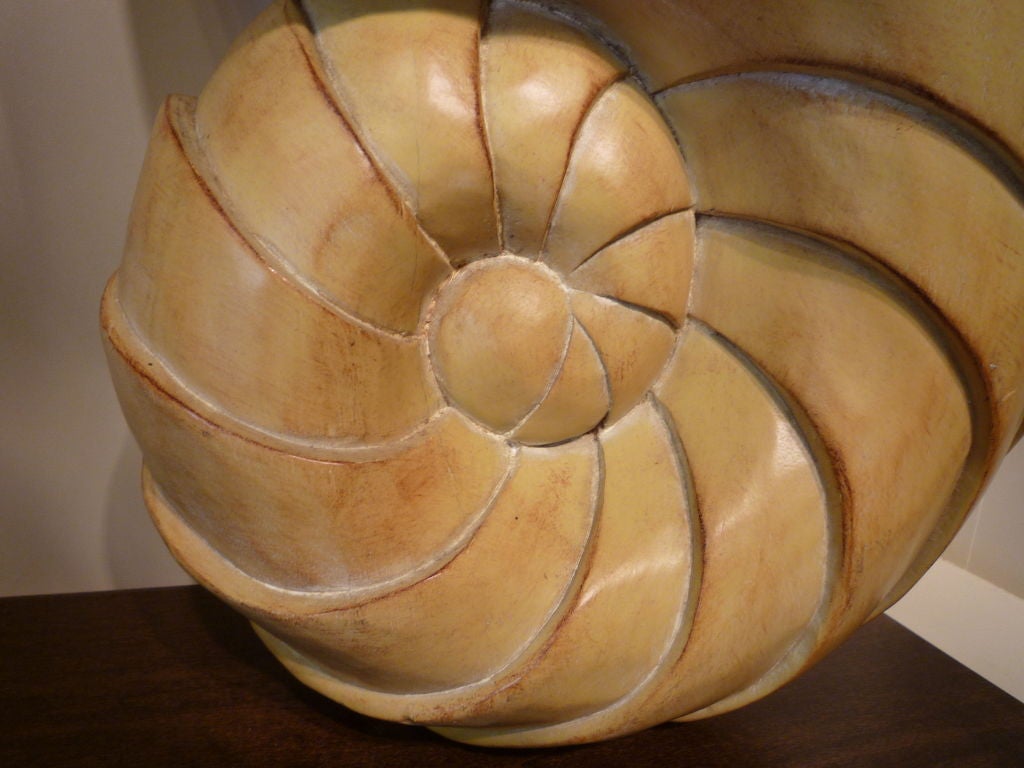 Large Carved Nautilus Shell at 1stDibs