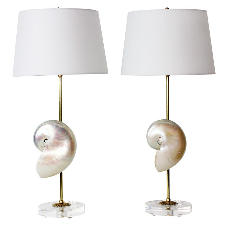 Nautilus Shell Lamps on Lucite Bases at 1stDibs