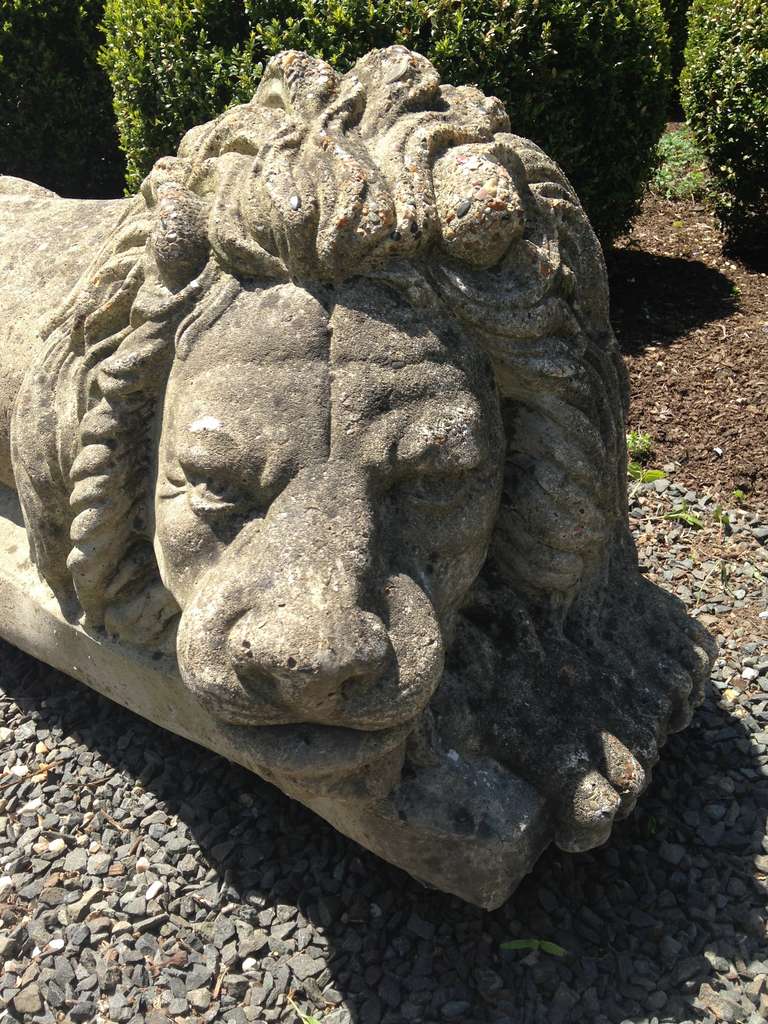 Gorgeous Pair of Large English Stone Lions at 1stDibs