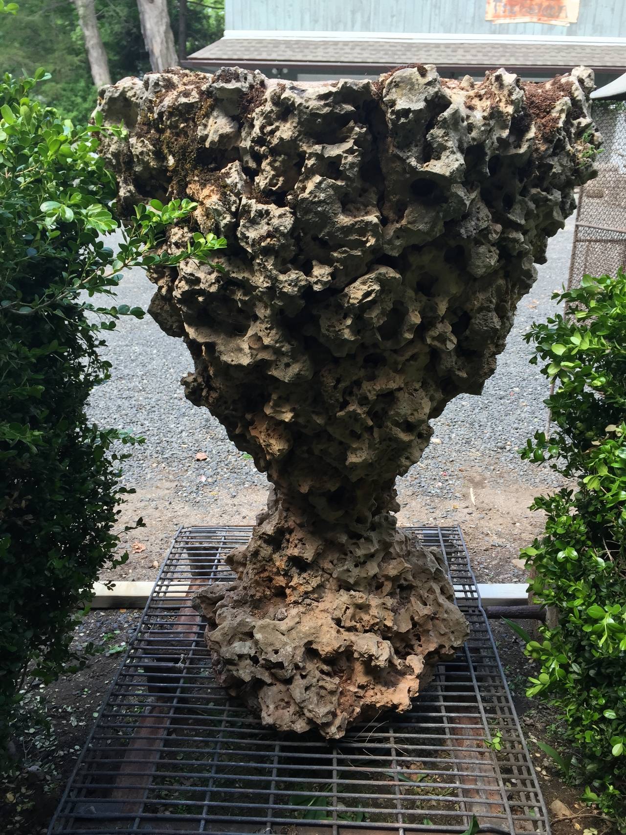 Huge One-Piece French Volcanic Rock Planter at 1stDibs | large lava ...