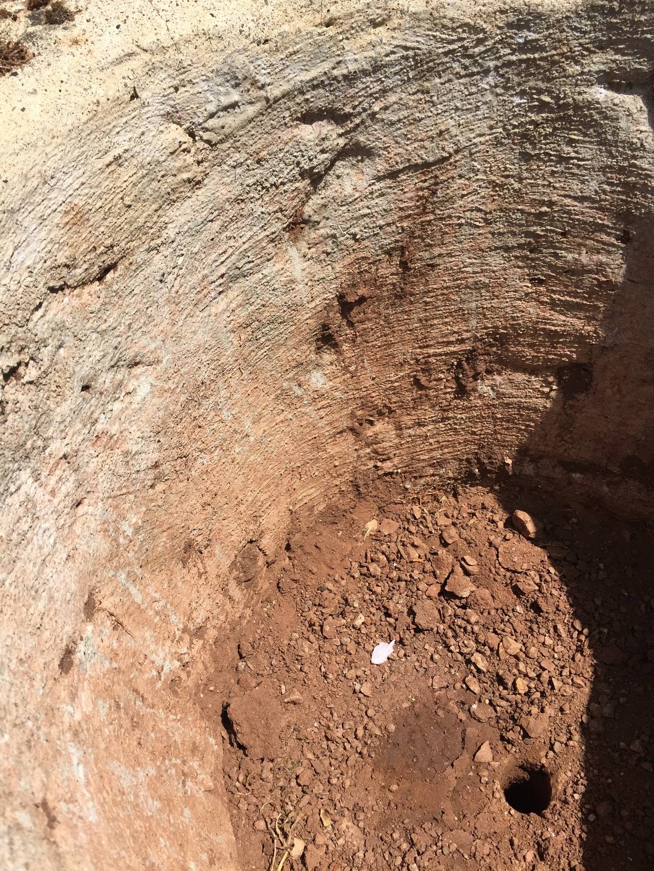 Huge One-Piece French Volcanic Rock Planter at 1stDibs | large lava ...