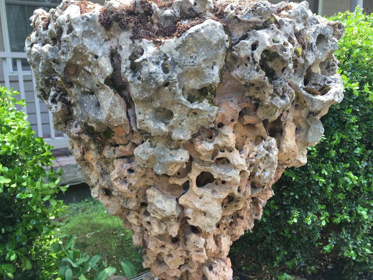 Huge One-Piece French Volcanic Rock Planter at 1stDibs | large lava ...