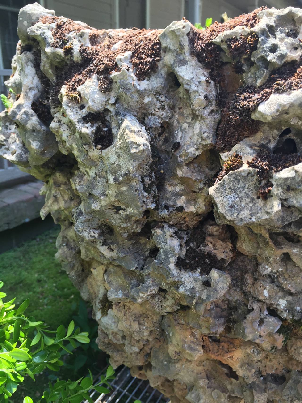 Huge One-Piece French Volcanic Rock Planter at 1stDibs | large lava ...