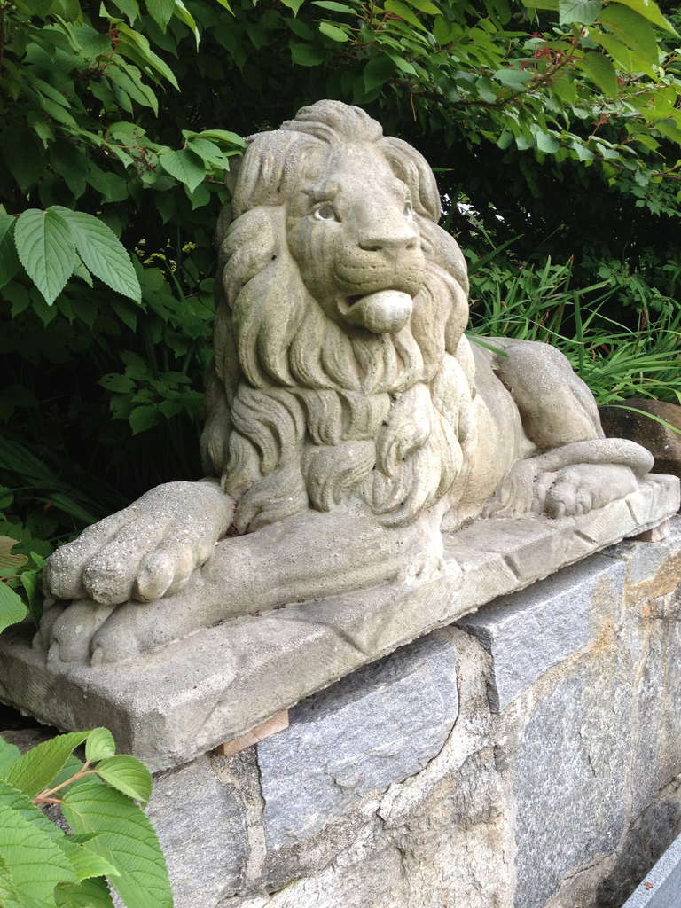 Regal Estate-Sized Cast Stone Lion at 1stDibs