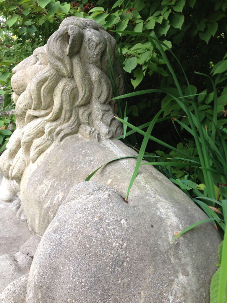 Regal Estate-Sized Cast Stone Lion at 1stDibs