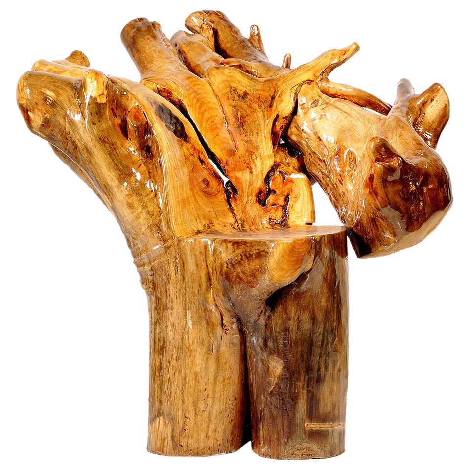 Contemporary Natural Lacquered Root Chair Crafted from Camphor Wood For ...