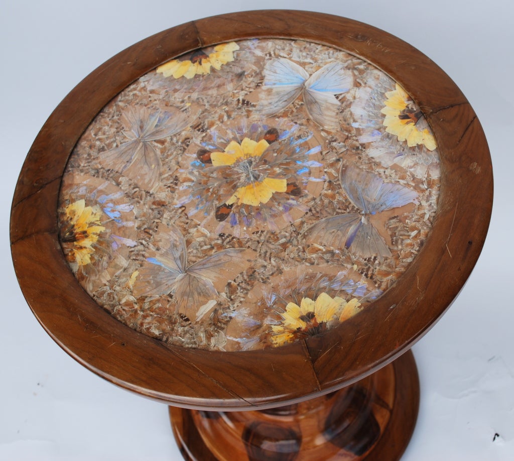 Rare Late 19th C Brazilian Butterfly Table For Sale at 1stDibs