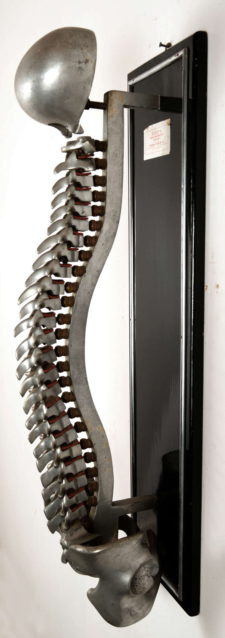 Rare 'Fleet's Demonstrator Model Number 9' Cast Aluminum Human Spine at ...