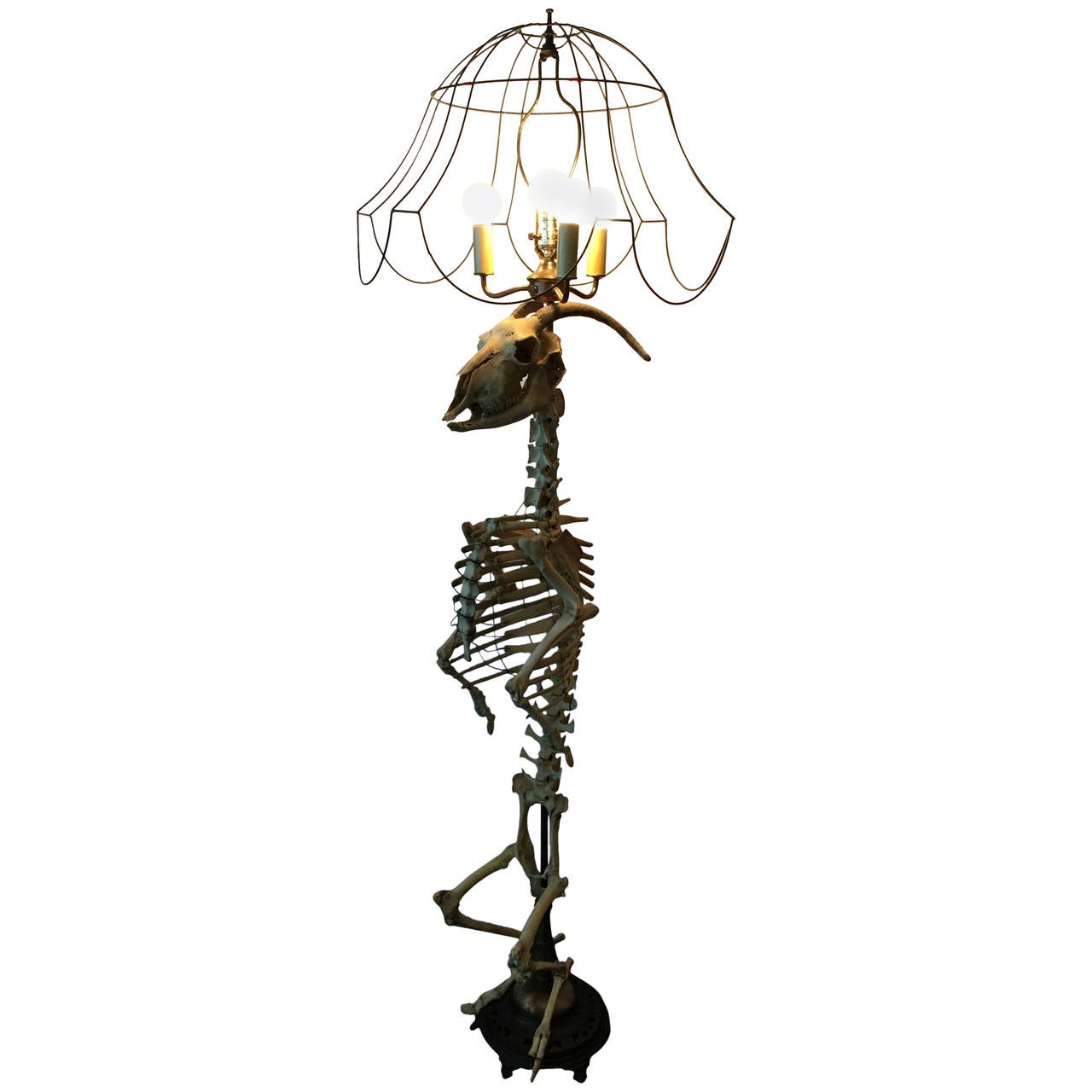 Goat Skeleton Floor Lamp at 1stDibs