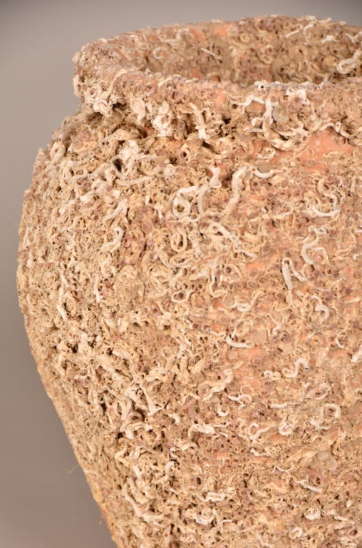 Collection of Small Greek Octopus Terra Cotta Undersea Pots at 1stDibs