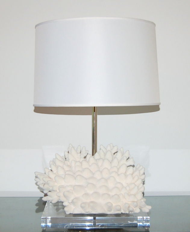 Coral Table Lamp For Sale at 1stDibs