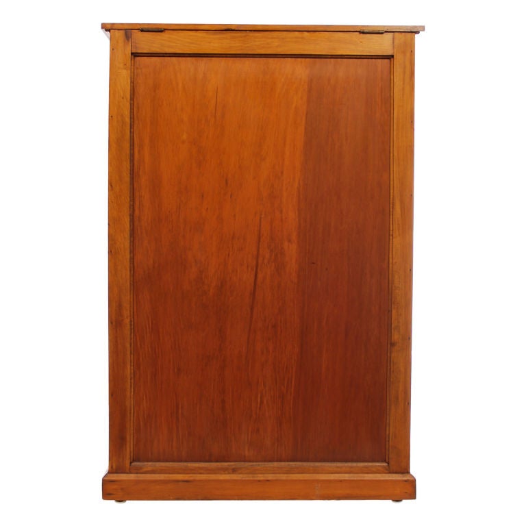 Map Cabinet / Chart Rack at 1stDibs