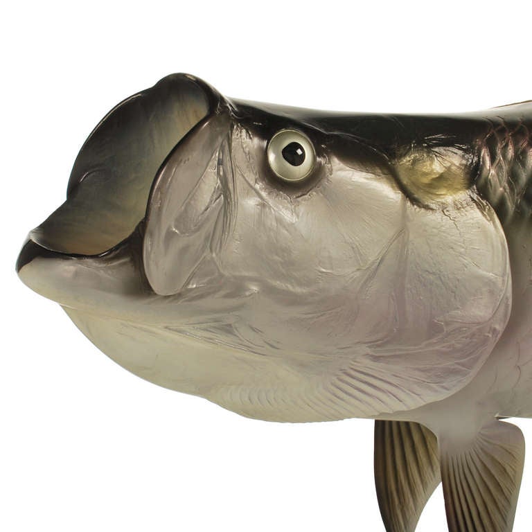 Large Silver King Tarpon Fish Mount at 1stDibs