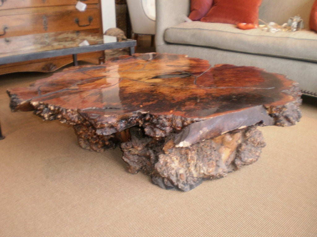 ROOT COCKTAIL TABLE at 1stDibs
