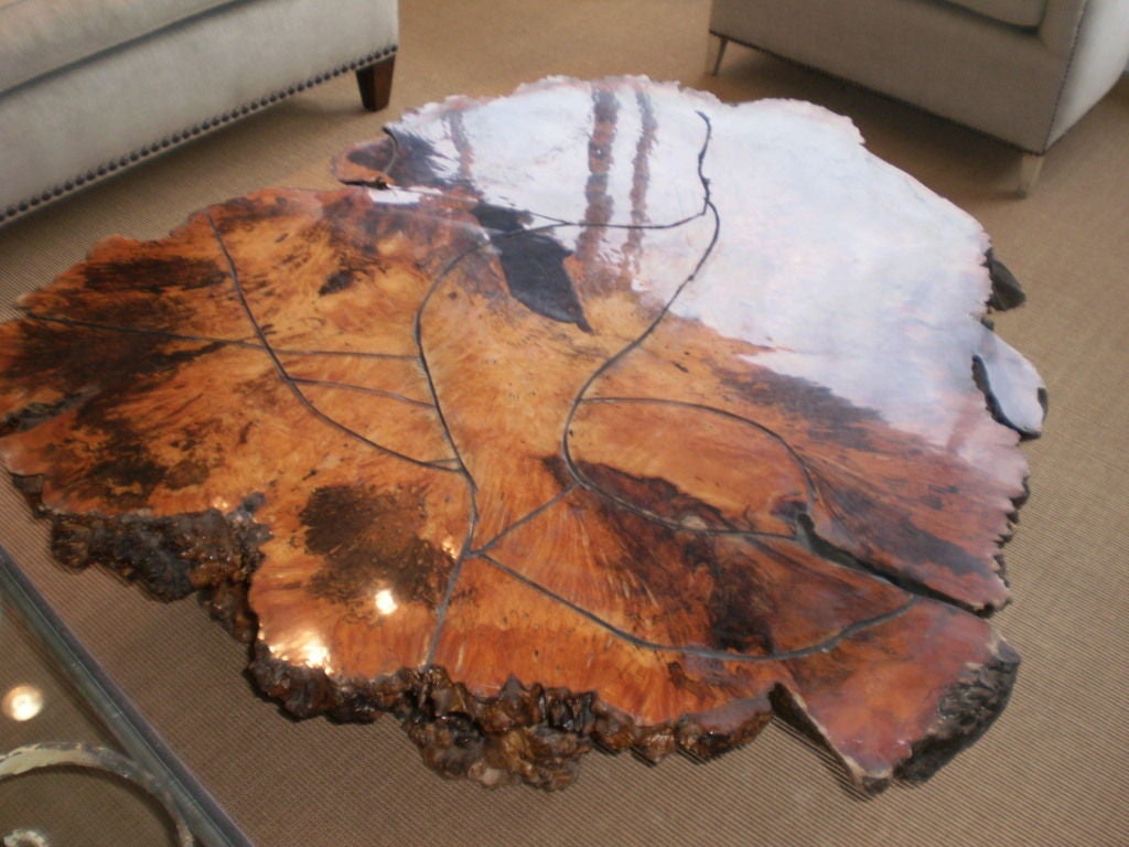 ROOT COCKTAIL TABLE at 1stDibs