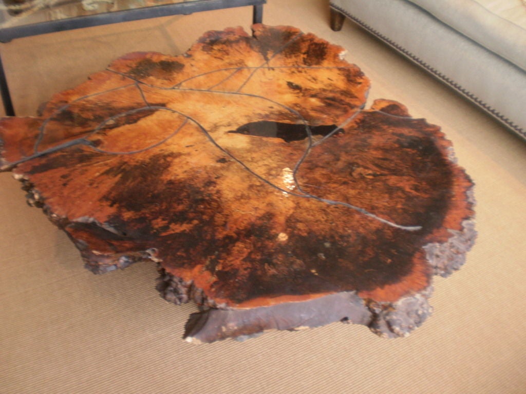 ROOT COCKTAIL TABLE at 1stDibs