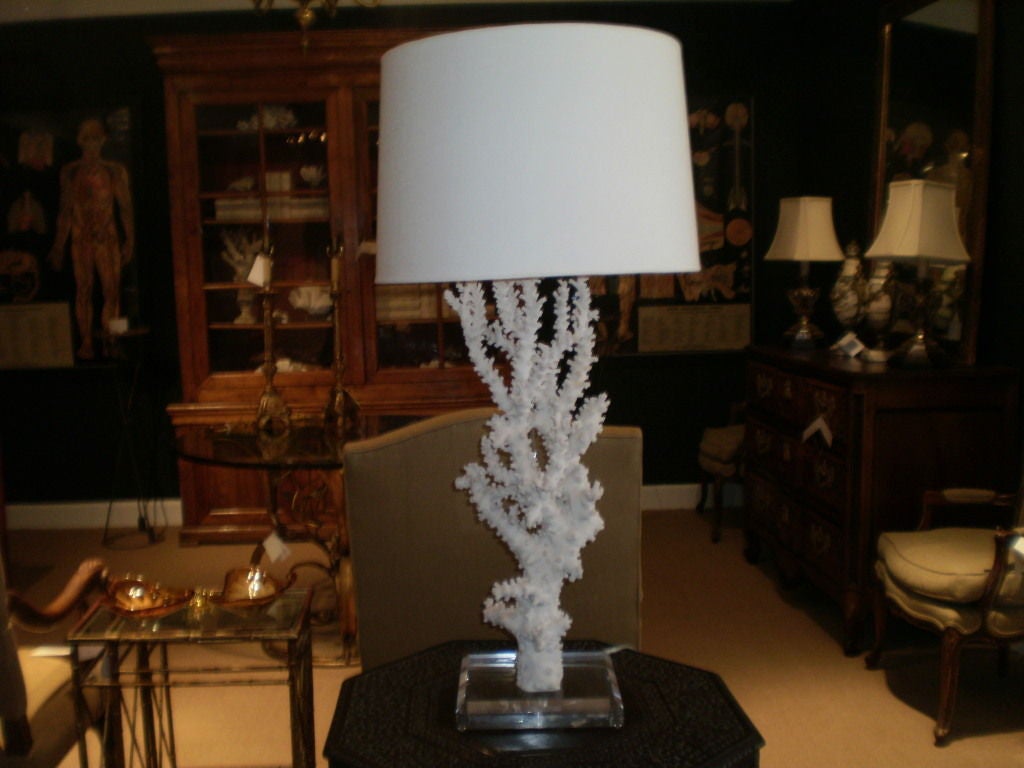 Octopus Coral Lamp On Acrylic Base at 1stDibs