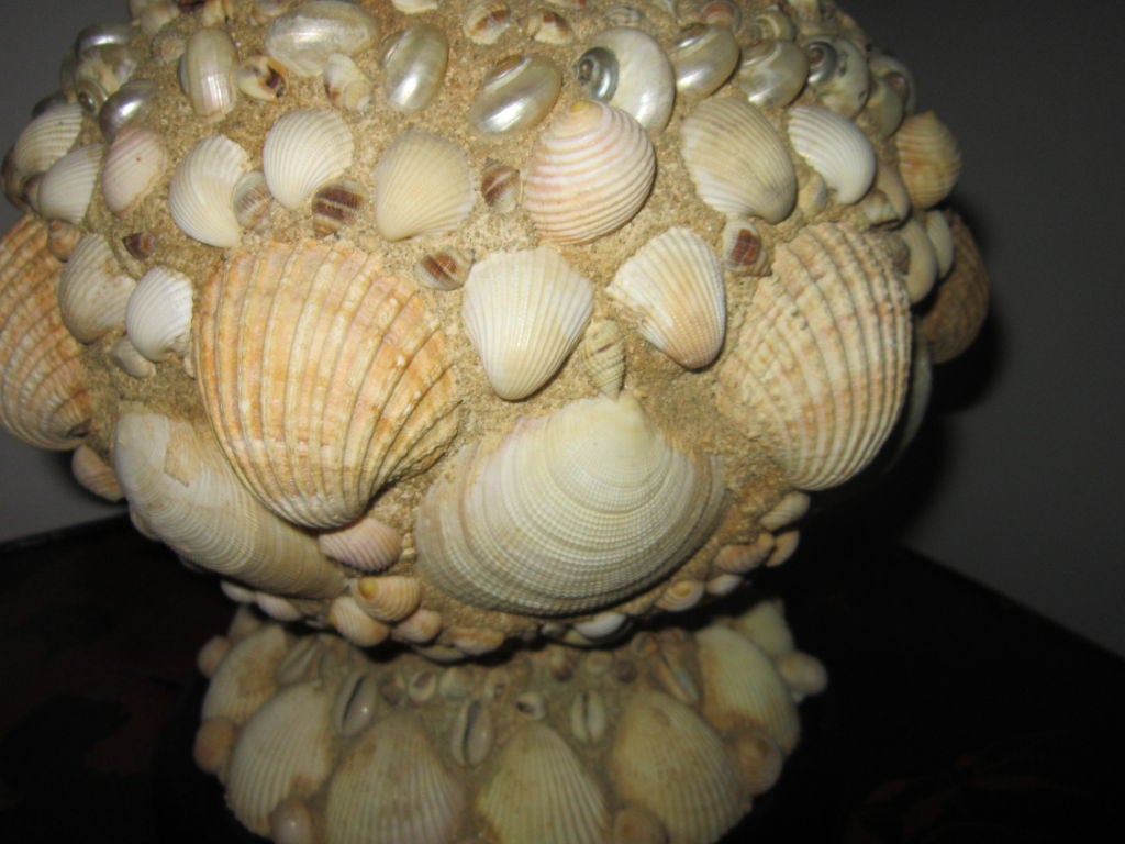 Vintage Shell Lamp For Sale at 1stDibs
