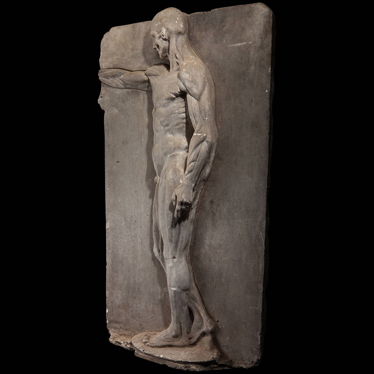 Anatomical Plaster Ecorche of Man at 1stDibs