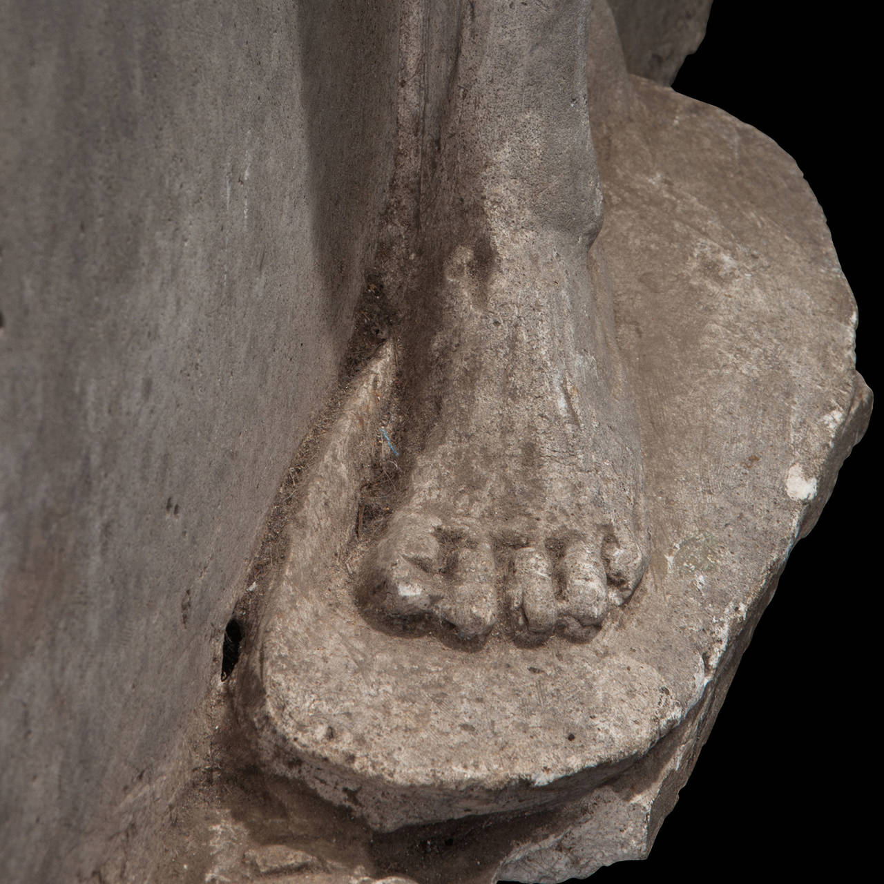 Anatomical Plaster Ecorche of Man at 1stDibs