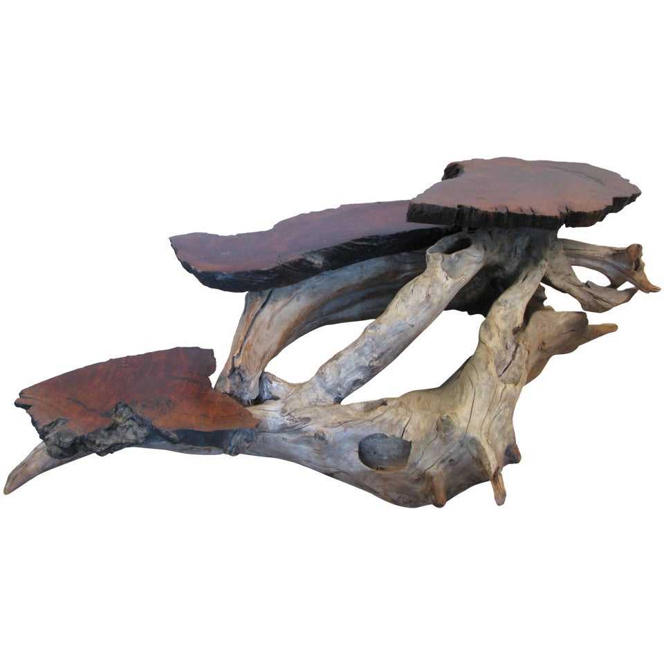 Natural and Polished Root Multi-Tier Cocktail Table at 1stDibs