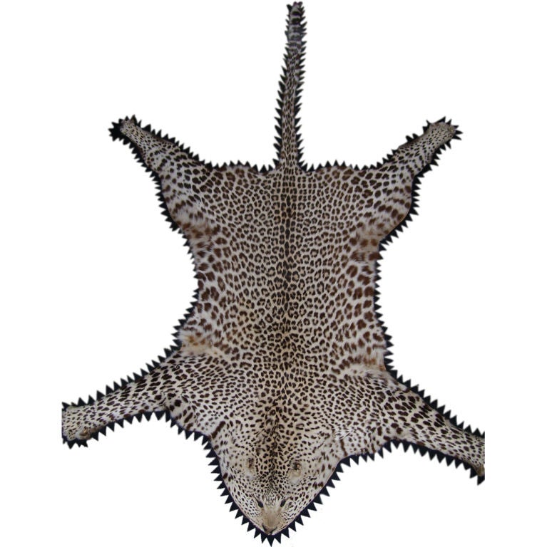 Vintage Flat Head Mount Leopard Skin Rug at 1stDibs